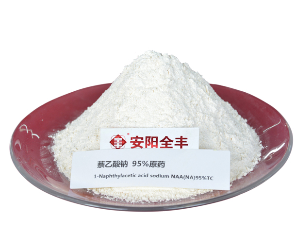 1-Naphthylacetic Acid (NAA-NA) from China Manufacturer - Hebi Quanfeng ...