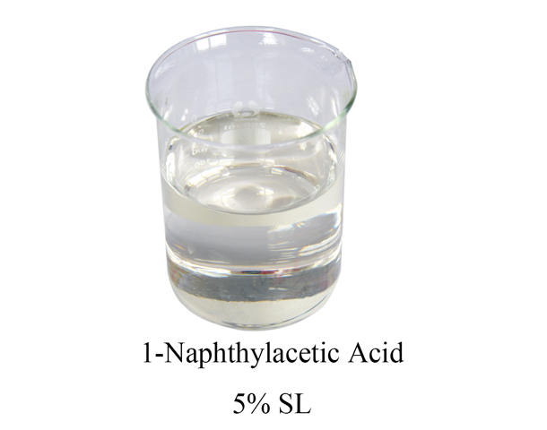1-Naphthylacetic Acid (NAA-NA) from China Manufacturer - Hebi Quanfeng ...
