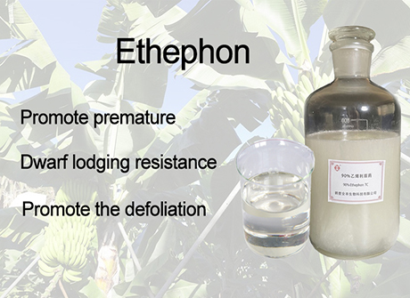 Manufacturer of plant growth regulators, Ethephon